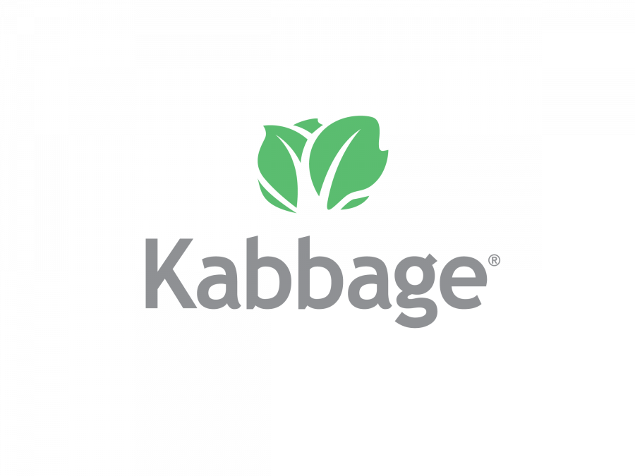 Kabbage Survey Shows American SMBs Recovering Post-Pandemic | deBanked