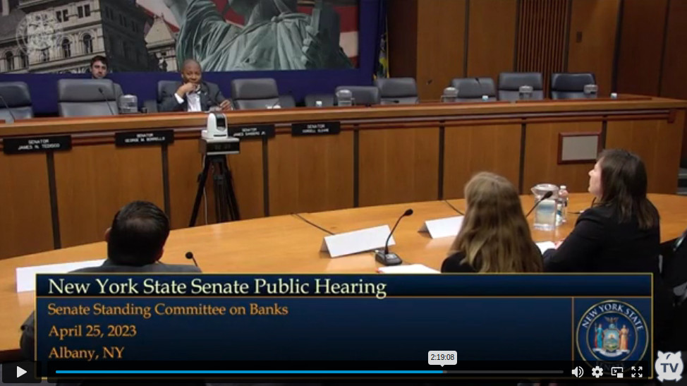 Small Business Financing Industry Representatives Testified in New York ...
